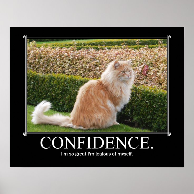 Confidence Cat Artwork Funny Poster | Zazzle