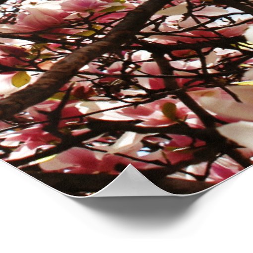 Confidence is Silent Insecurities are LOUD Poster | Zazzle