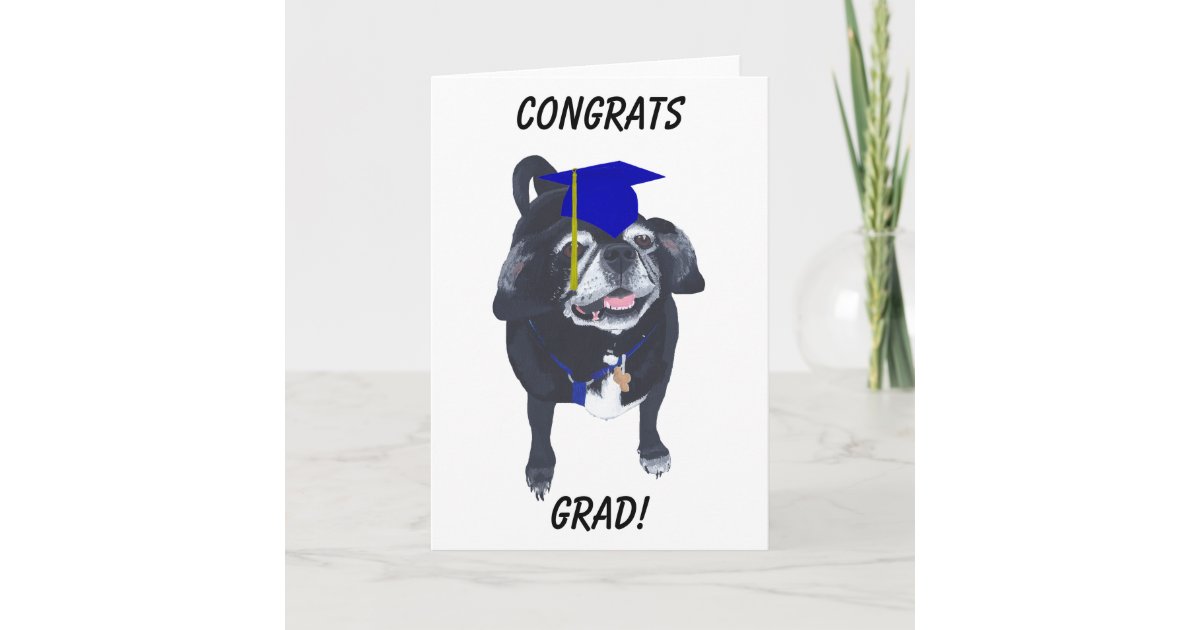 Congrats Grad Pug Dog Blue Cap and Tassel Cards | Zazzle