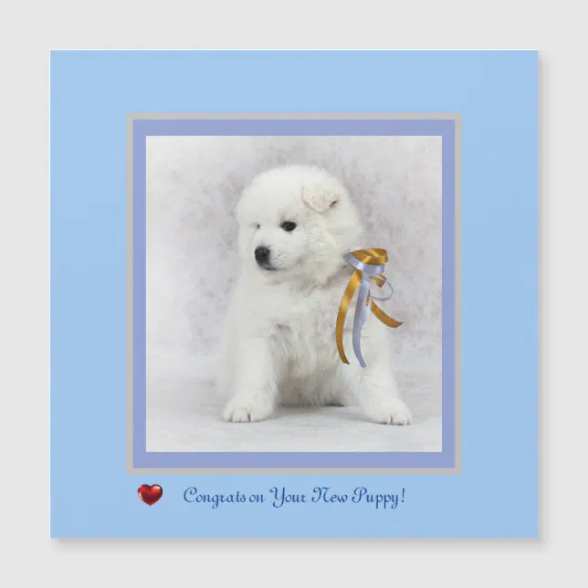 Congrats on New Samoyed Puppy Magnetic Card. | Zazzle