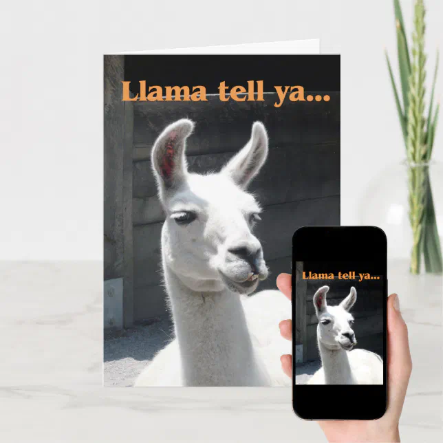 Congrats on Promotion - Llama Card | Zazzle