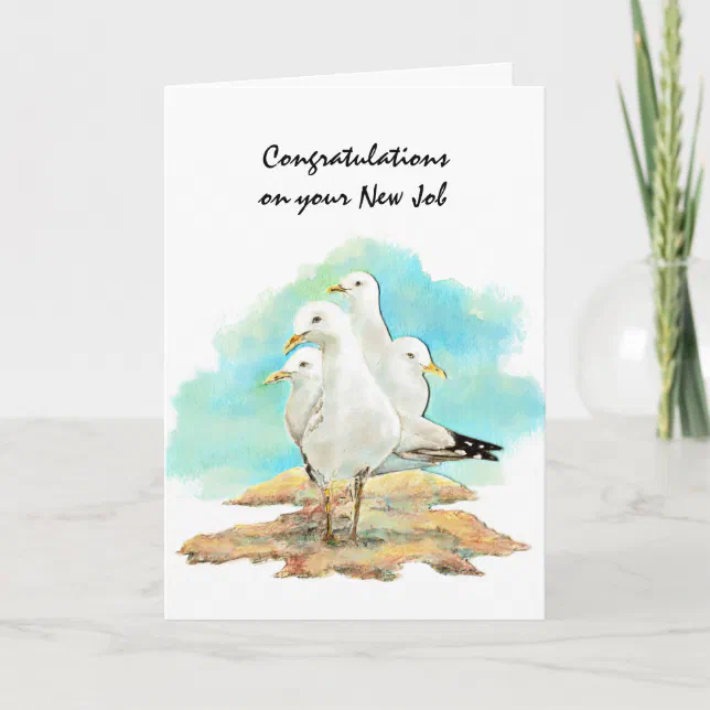 Congratulation New Job From Gang Seagulls, birds Card | Zazzle
