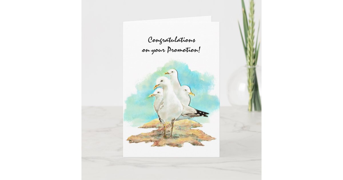 Congratulation Promotion From Gang Seagulls, bird Card | Zazzle.com