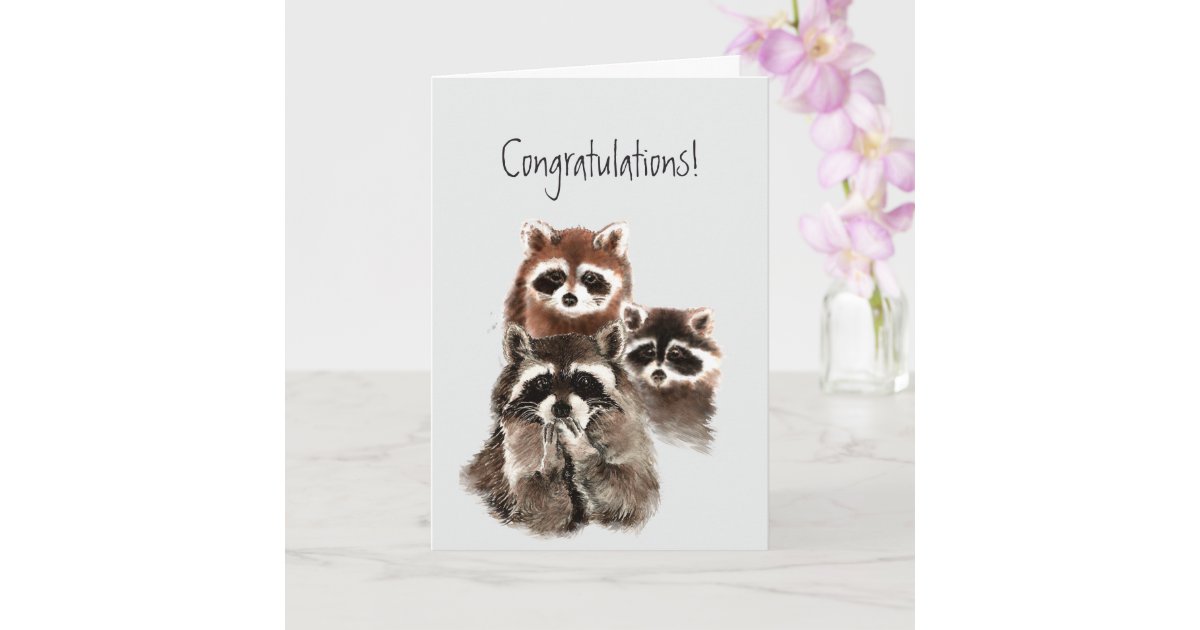 Congratulations All so Proud of You Fun Raccoons Card | Zazzle