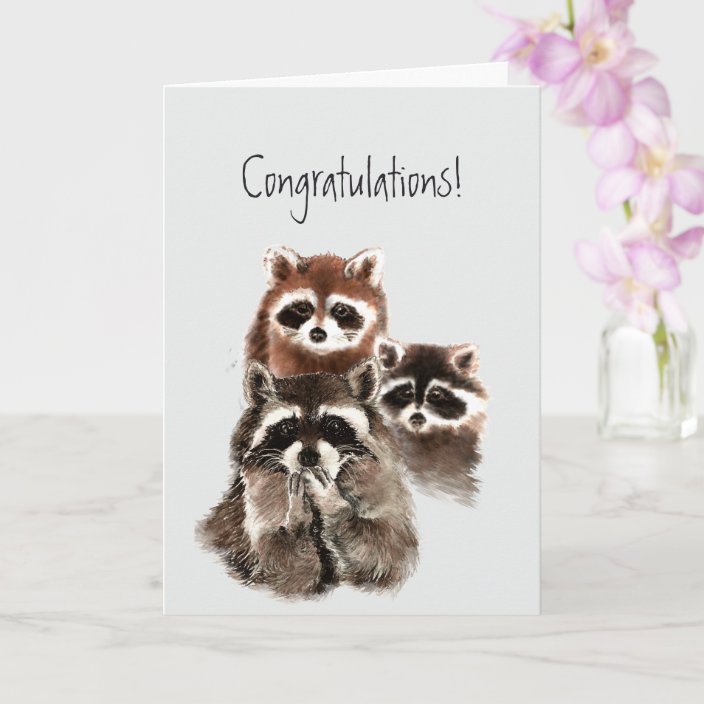 Congratulations All so Proud of You Fun Raccoons Card | Zazzle.com