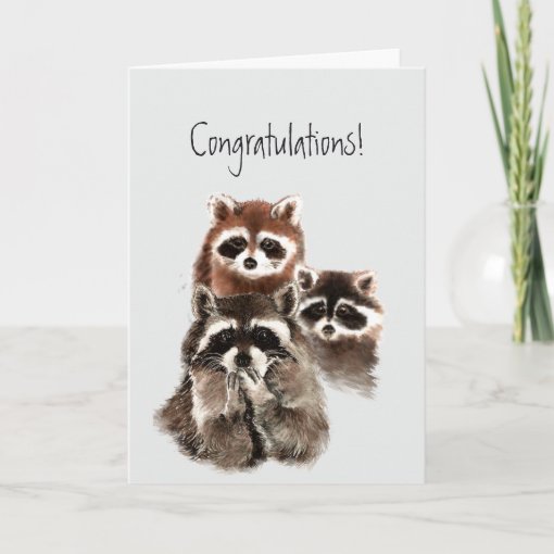 Congratulations All so Proud of You Fun Raccoons Card | Zazzle