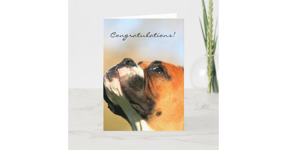 Congratulations Boxer Dog Greeting Card | Zazzle
