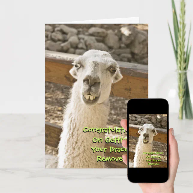Congratulations Braces Off Llama Card | Zazzle