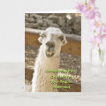 Congratulations Braces Off Llama Card | Zazzle