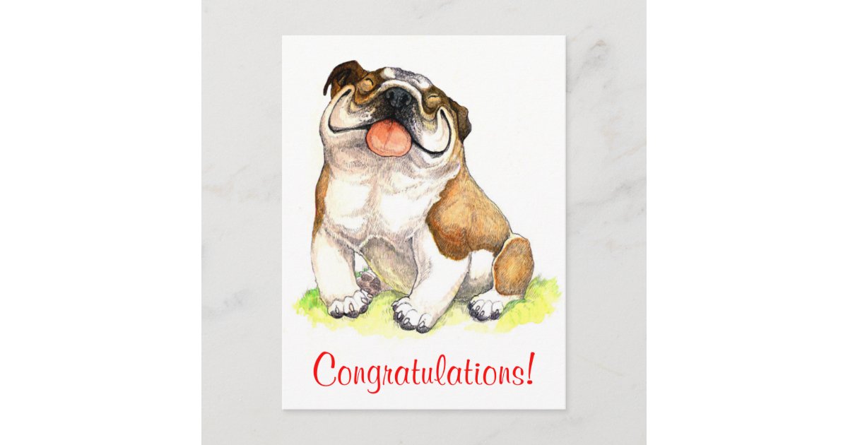 Congratulations Bulldog Puppy Dog Postcard | Zazzle