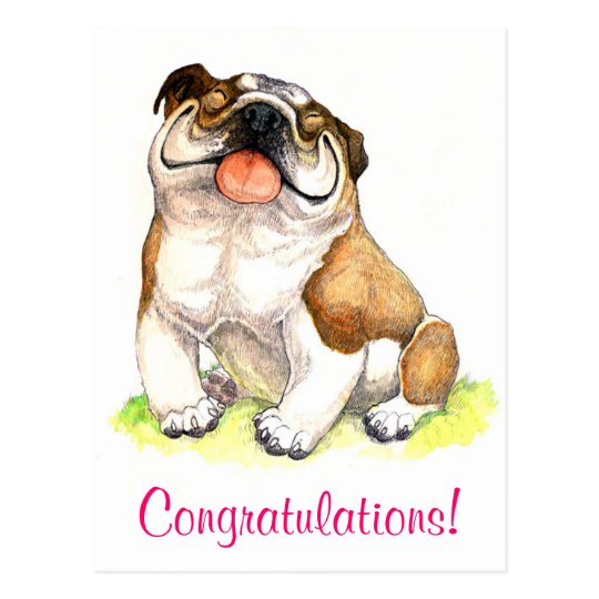 Congratulations Dog
