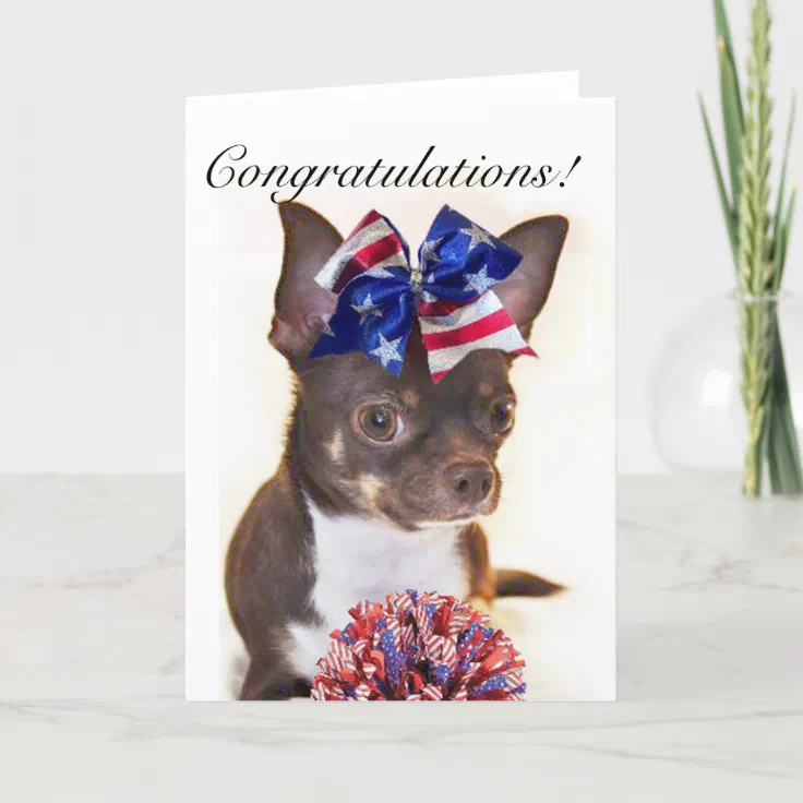 Congratulations Cheerleader chihuahua dog card | Zazzle
