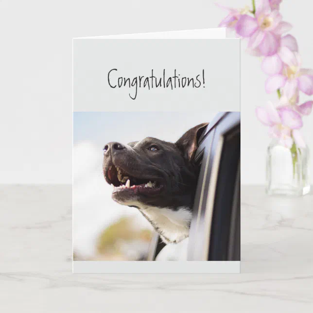 Congratulations Couldn't be Happier Fun Dog Card | Zazzle