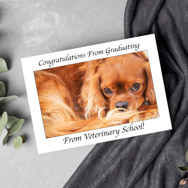Congratulations From Graduating From Vet School Card | Zazzle
