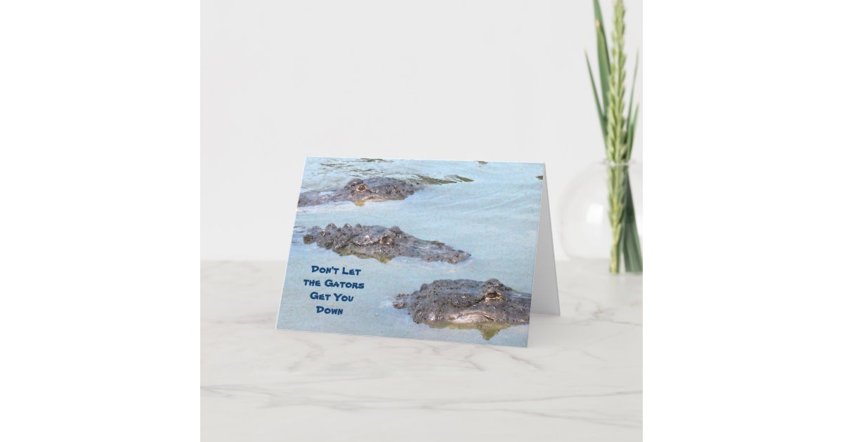 Congratulations Gator Card | Zazzle