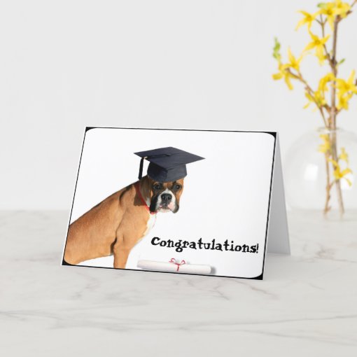 Congratulations graduate Boxer greeting card | Zazzle