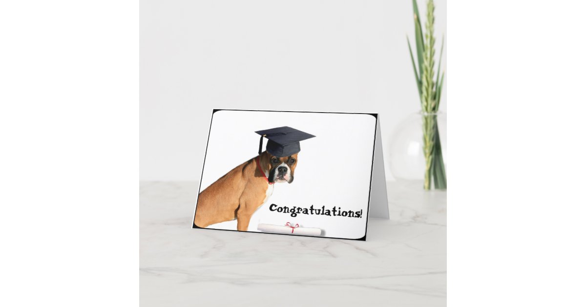 Congratulations graduate Boxer greeting card | Zazzle