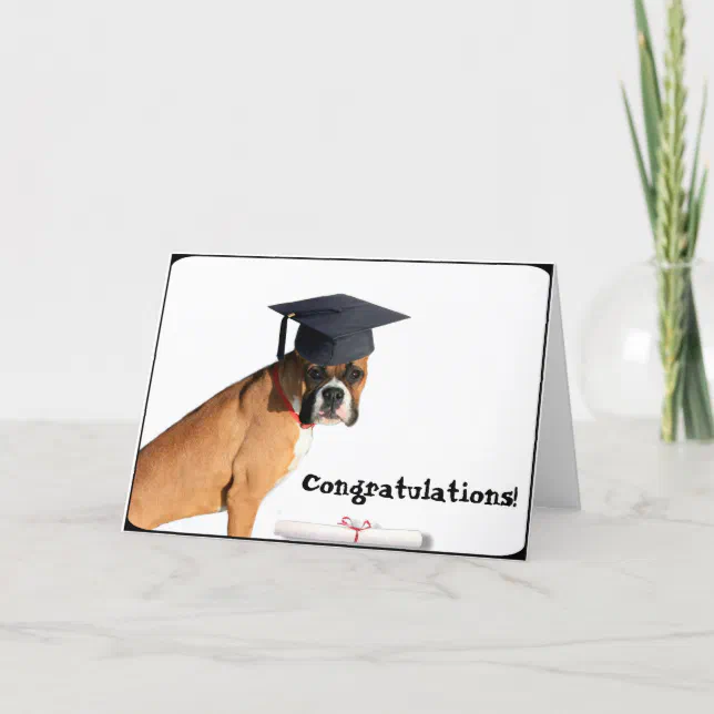 Congratulations graduate Boxer greeting card | Zazzle