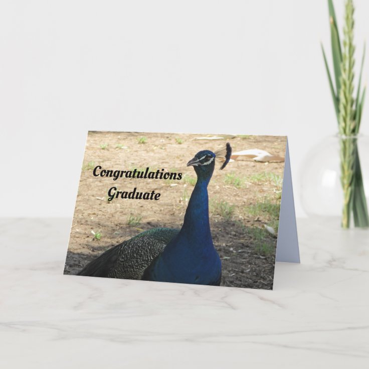 Congratulations Graduate Proud of You Graduation Holiday Card | Zazzle