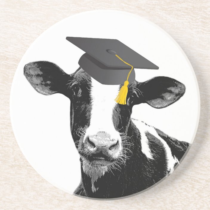 Congratulations Graduation Funny Cow in Cap Coaster | Zazzle.com