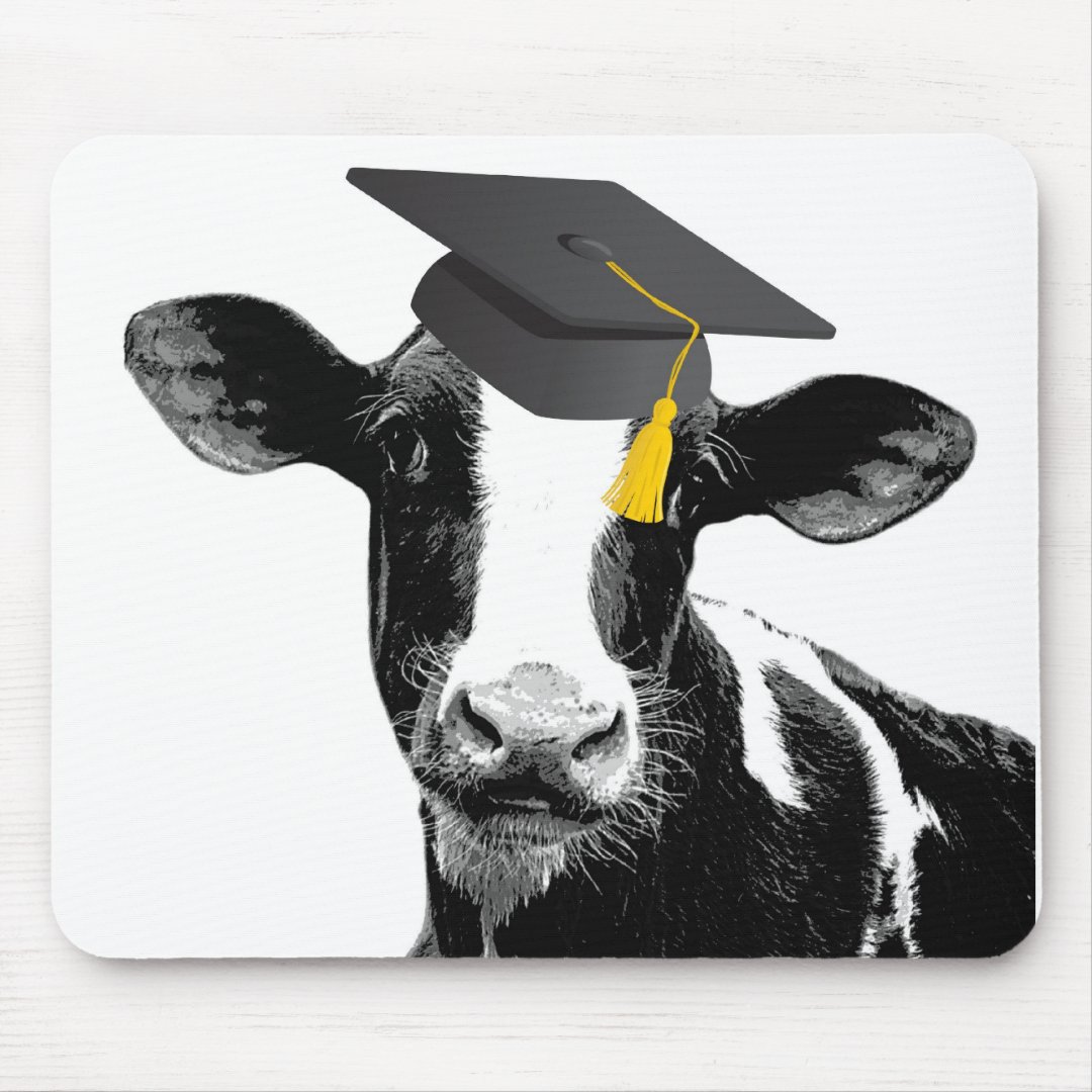 Congratulations Graduation Funny Cow in Cap Mouse Pad | Zazzle