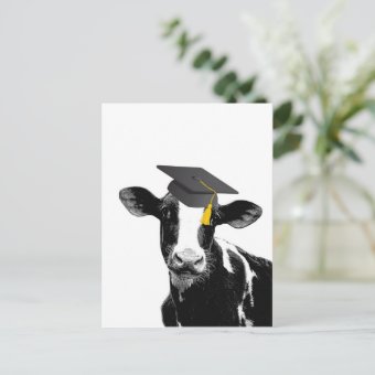Congratulations Graduation Funny Cow in Cap Postcard | Zazzle