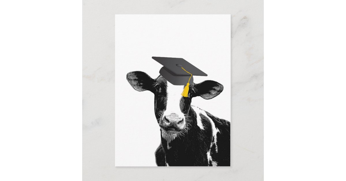 Congratulations Graduation Funny Cow in Cap Postcard | Zazzle