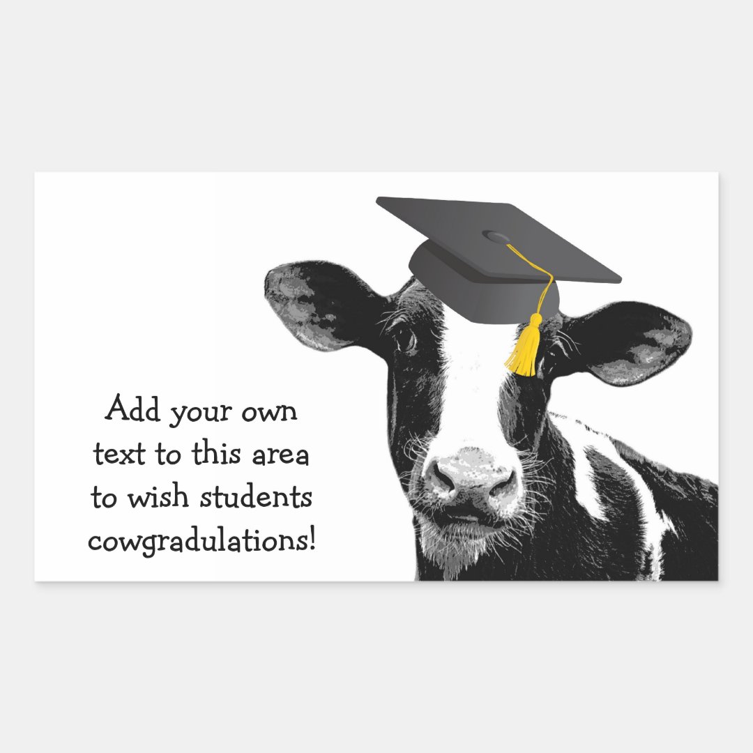 Congratulations Graduation Funny Cow in Cap Rectangular Sticker | Zazzle