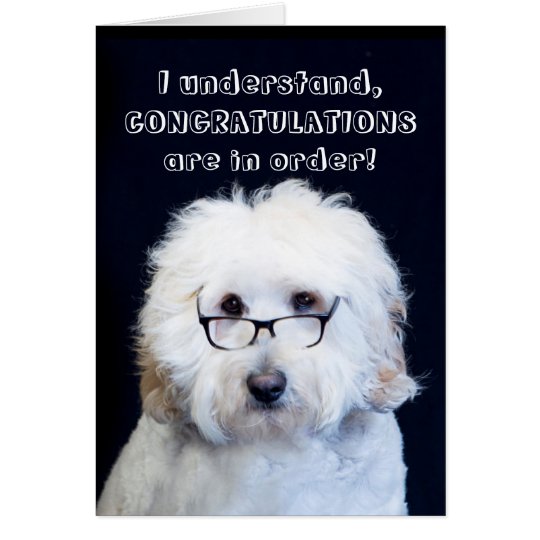 CONGRATULATIONS - HUMOR W/DOG/BLACK-RIM GLASSES CARD | Zazzle.com