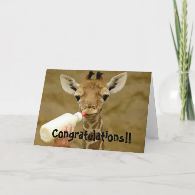 Congratulations Its a Boy - Baby Giraffe Card | Zazzle