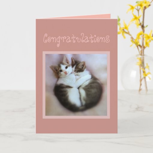 Congratulations Kittens in Love Card | Zazzle