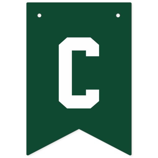 Congratulations Modern Green and Gold Graduation Bunting Flags | Zazzle