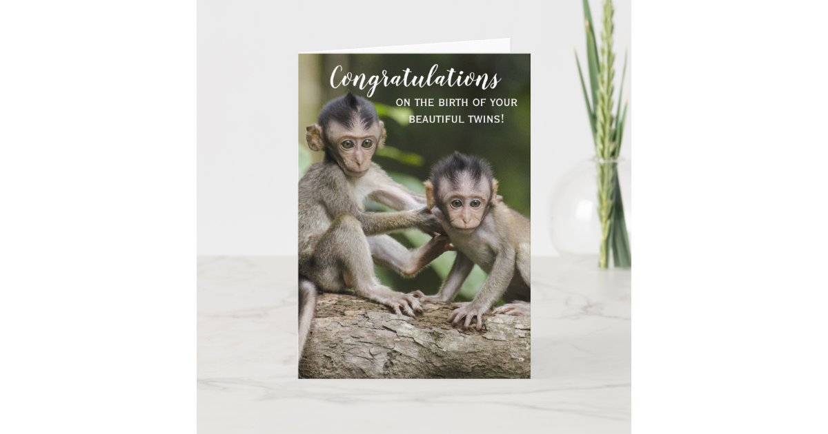 Congratulations New Baby Twins Monkey Card | Zazzle