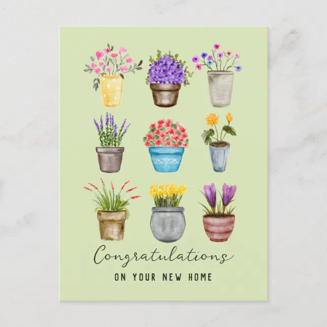 Congratulations New Home Cute Potted Flower Plants Postcard | Zazzle