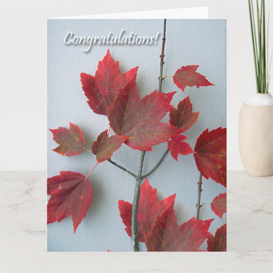 Congratulations on Canadian Citizenship, Large Card | Zazzle