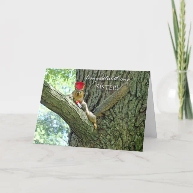 Congratulations on Graduation for Sister, Squirrel Card | Zazzle