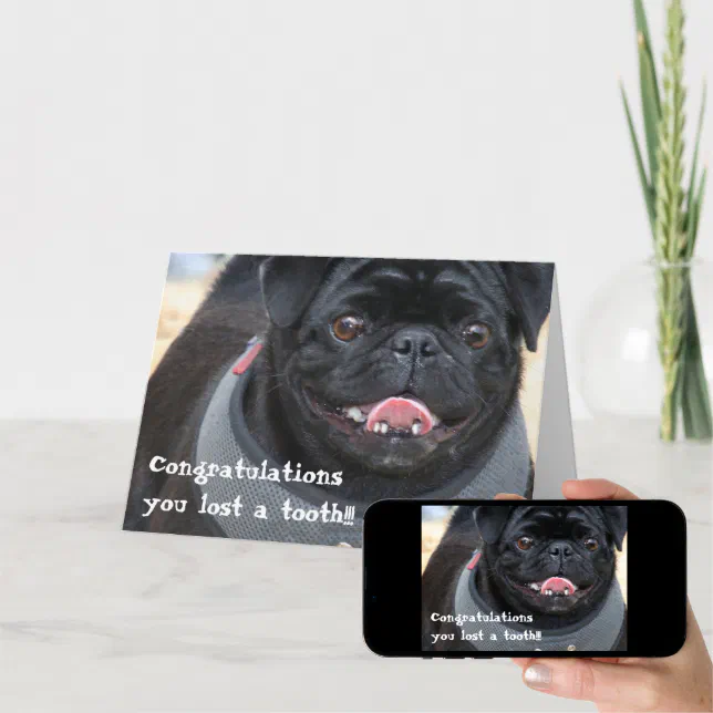 Congratulations on losing a tooth pug card | Zazzle