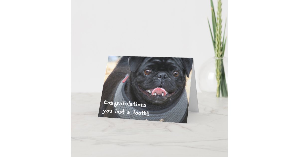 Congratulations on losing a tooth pug card | Zazzle