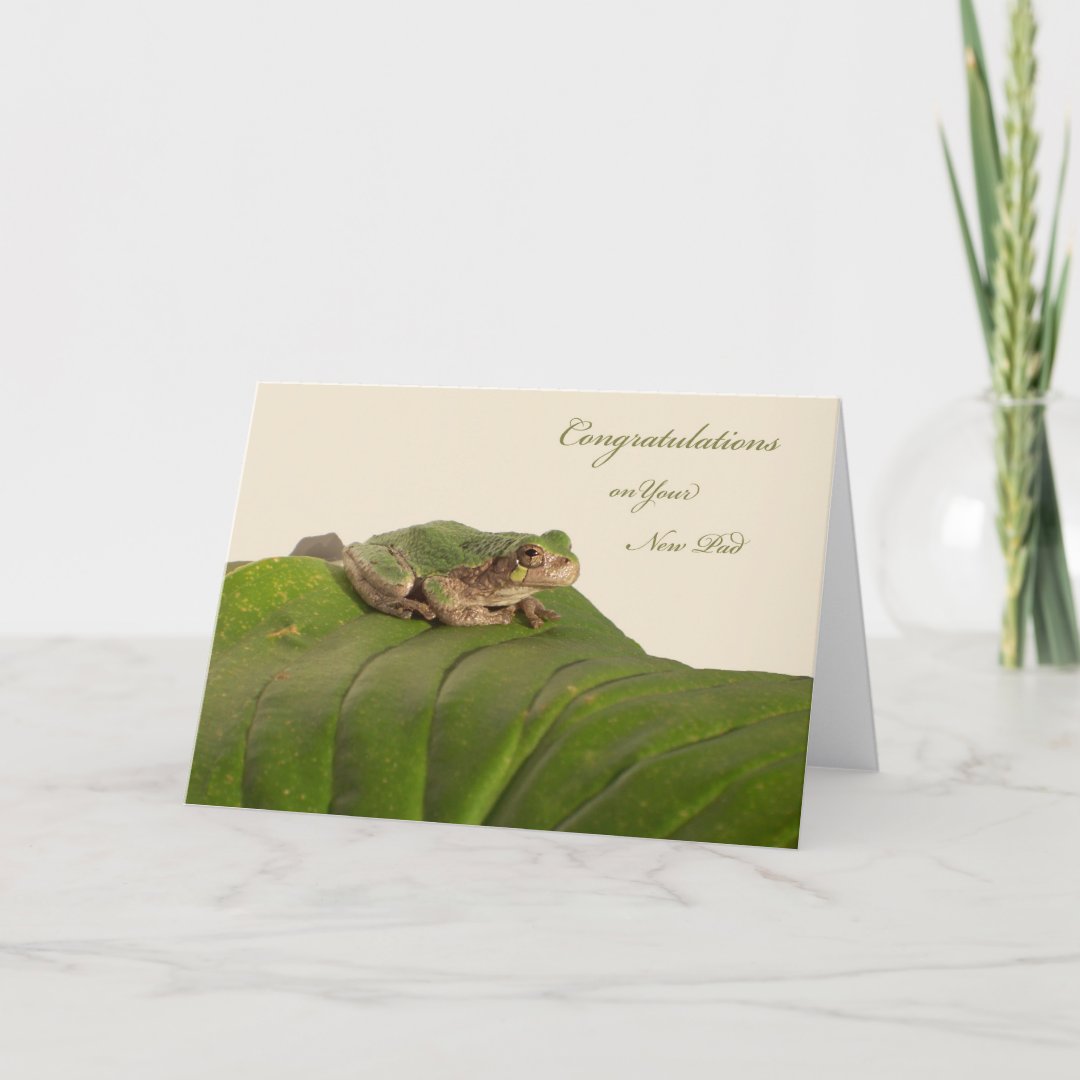 Congratulations on New Home, Apartment, or Condo Card | Zazzle