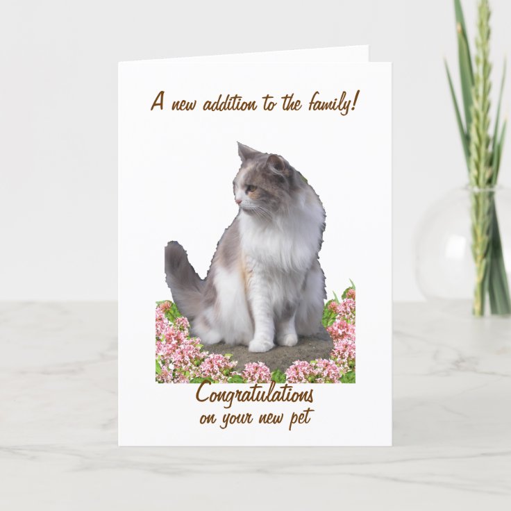 Congratulations on new pet cards, customize card | Zazzle