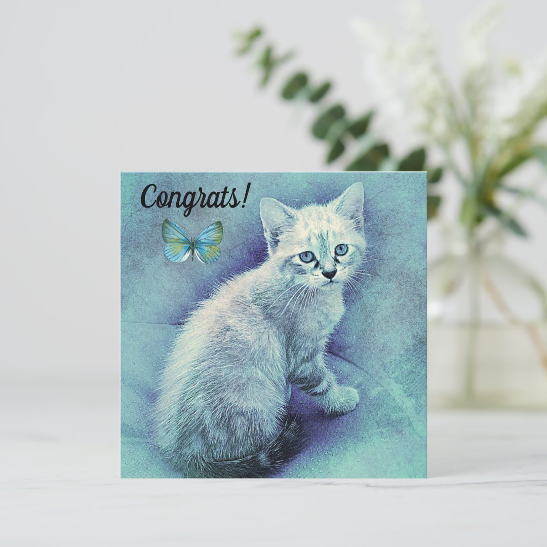 Congratulations on New Pet Cat Card | Zazzle