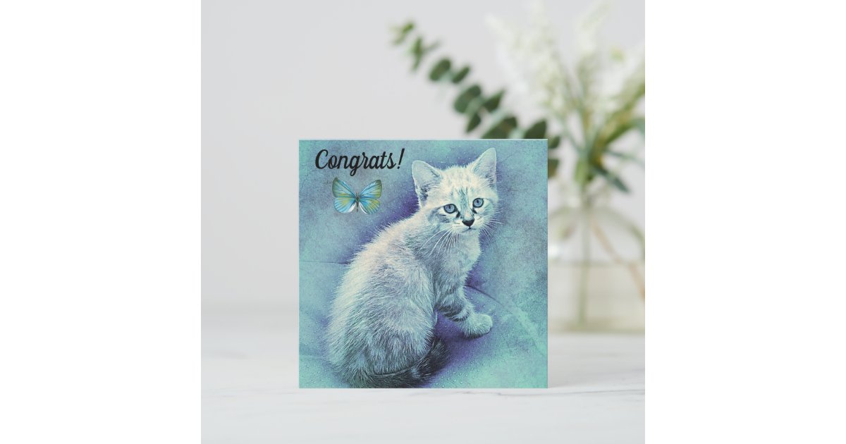 Congratulations on New Pet Cat Card | Zazzle