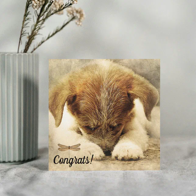 Congratulations on New Pet Dog Card | Zazzle