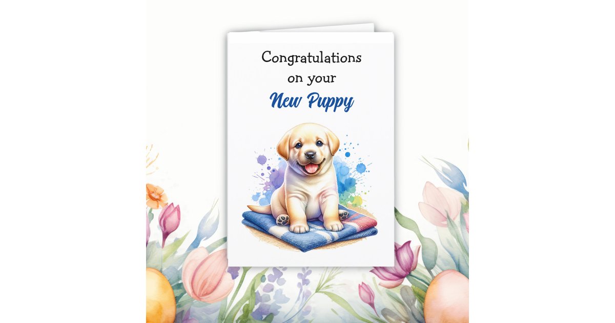 Congratulations on the New Puppy! Labrador Card | Zazzle