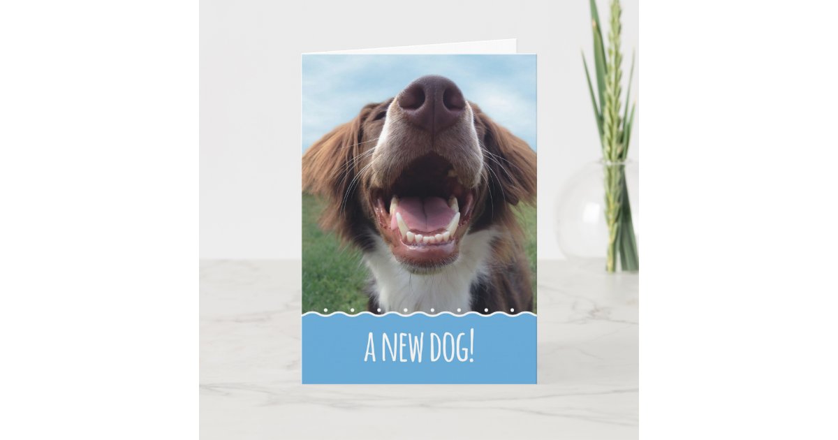 Congratulations on Your New Dog, Happy Pup Card | Zazzle