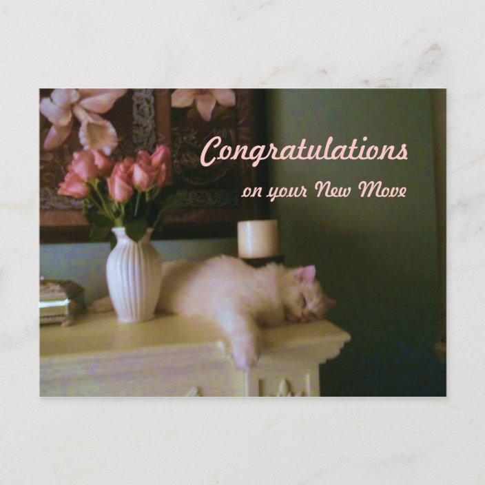 Congratulations on your New Move Postcard | Zazzle.com