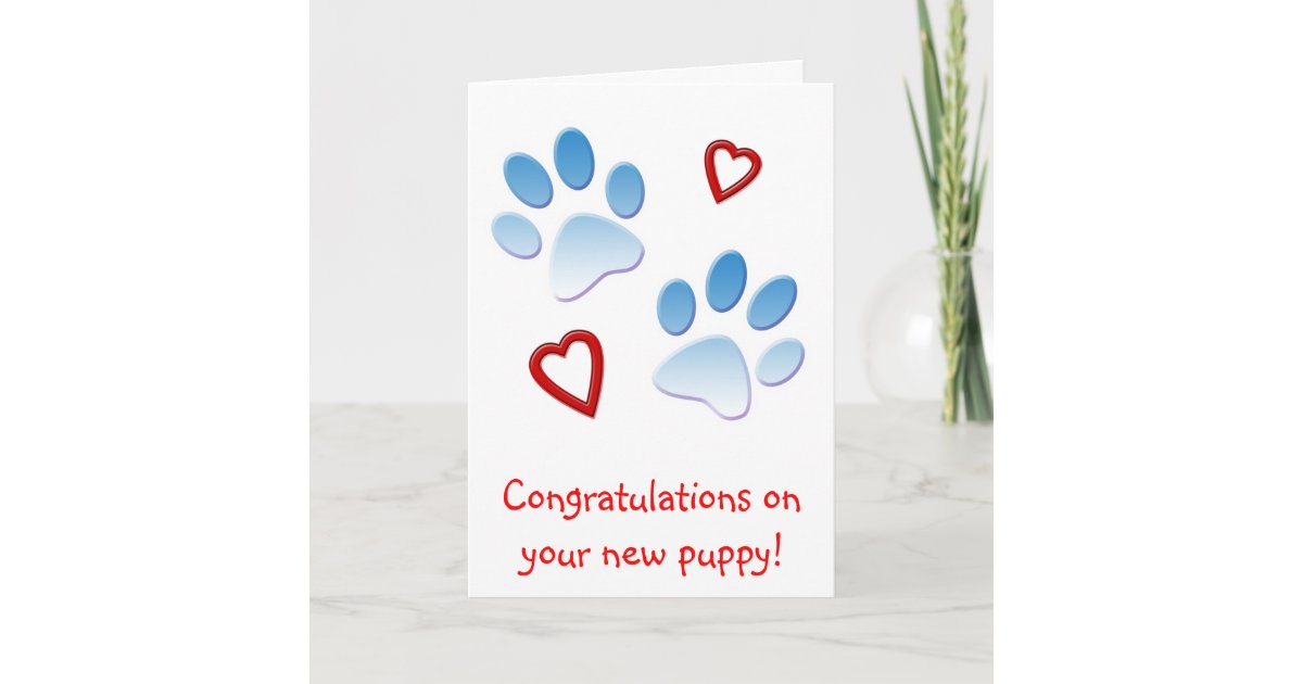 Congratulations on Your New Puppy Card | Zazzle