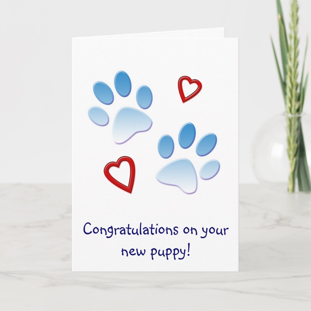 Congratulations on Your New Puppy Card | Zazzle