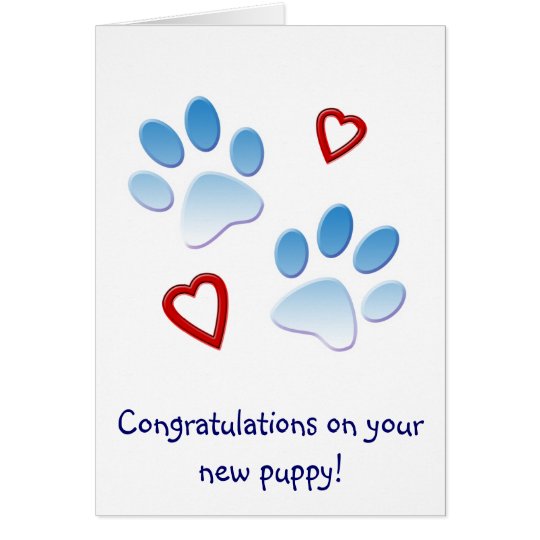 Congratulations on Your New Puppy Card | Zazzle.com