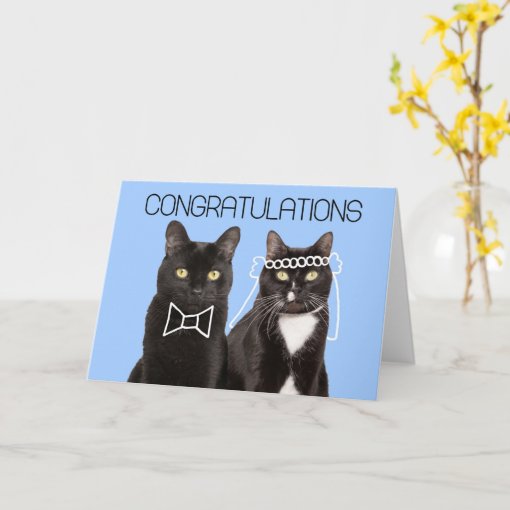 Congratulations on Your Wedding Cute Cat Couple Card | Zazzle
